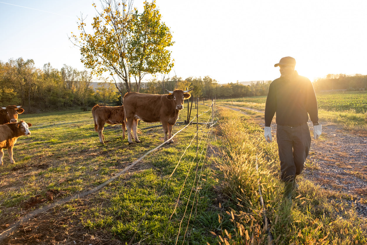 A New Year, the Rancher Way – Riverbend Cattle Company